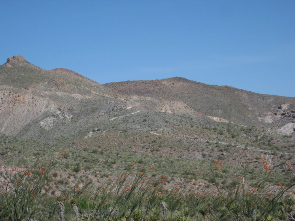 Pole Line Road 2015 – Viva Baja