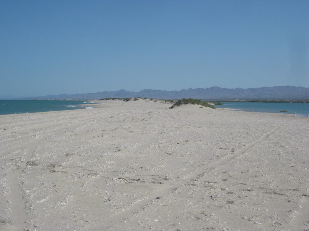 Memorial Day 2017 to Shell Island – Viva Baja